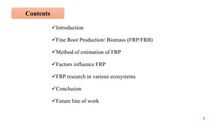 Fine roots dynamics in trees | PPT