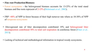 Fine roots dynamics in trees | PPT