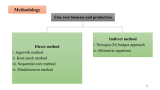 Fine roots dynamics in trees | PPT