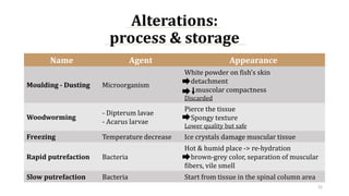 Stockfish for Food evaluation class UNIPD | PPT