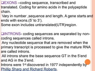 Fine structure of gene | PPTX