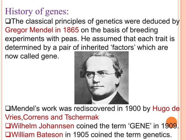 Fine structure of gene | PPTX | Genetics | Science