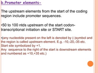 Fine structure of gene | PPTX