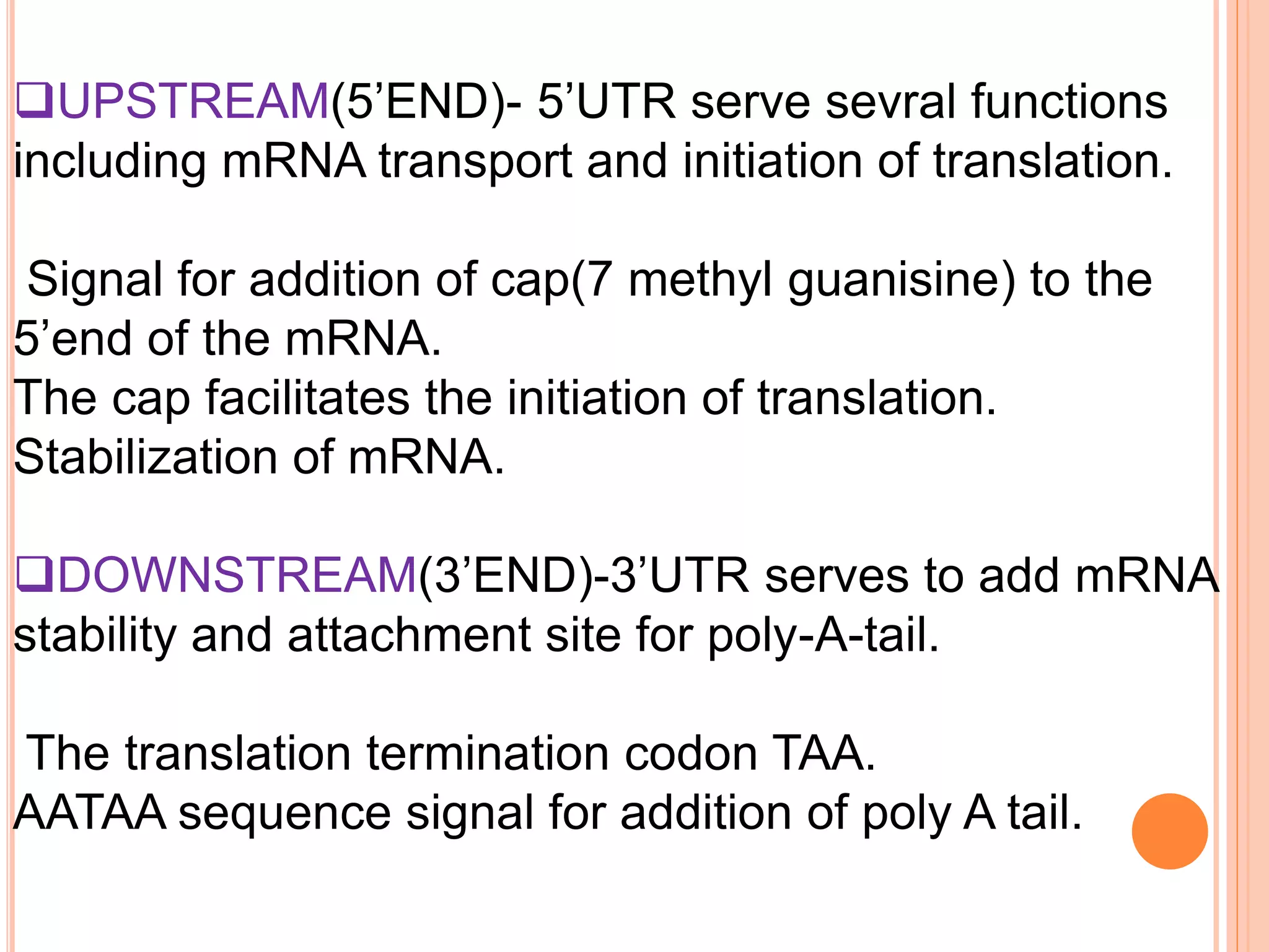 Fine structure of gene | PPTX