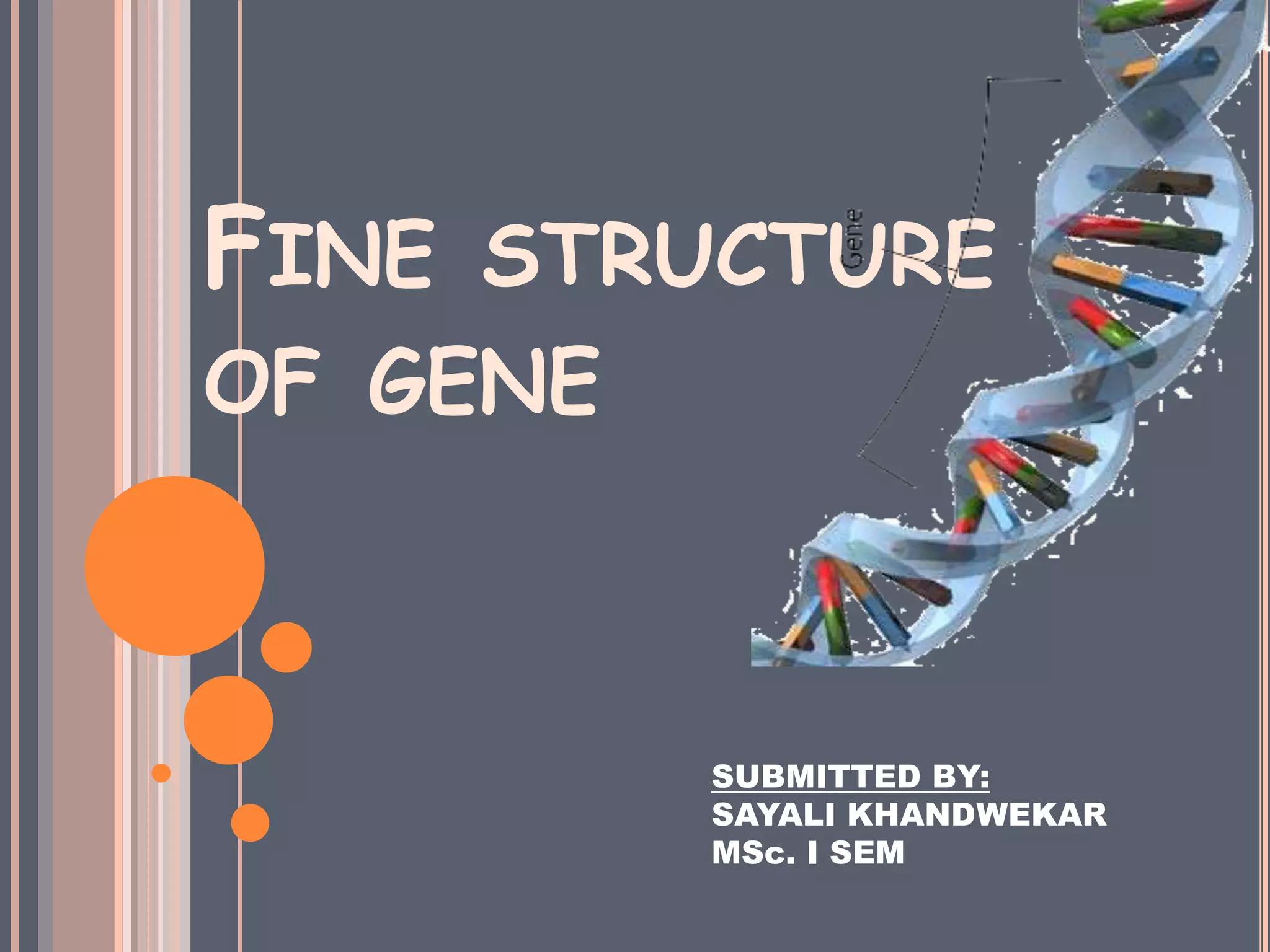 FINE STRUCTURE OF GENE | PPT