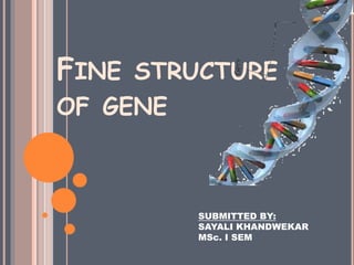 Fine structure of gene | PPTX