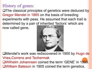 Fine structure of gene | PPTX