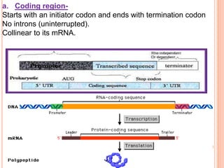 Fine structure of gene | PPTX