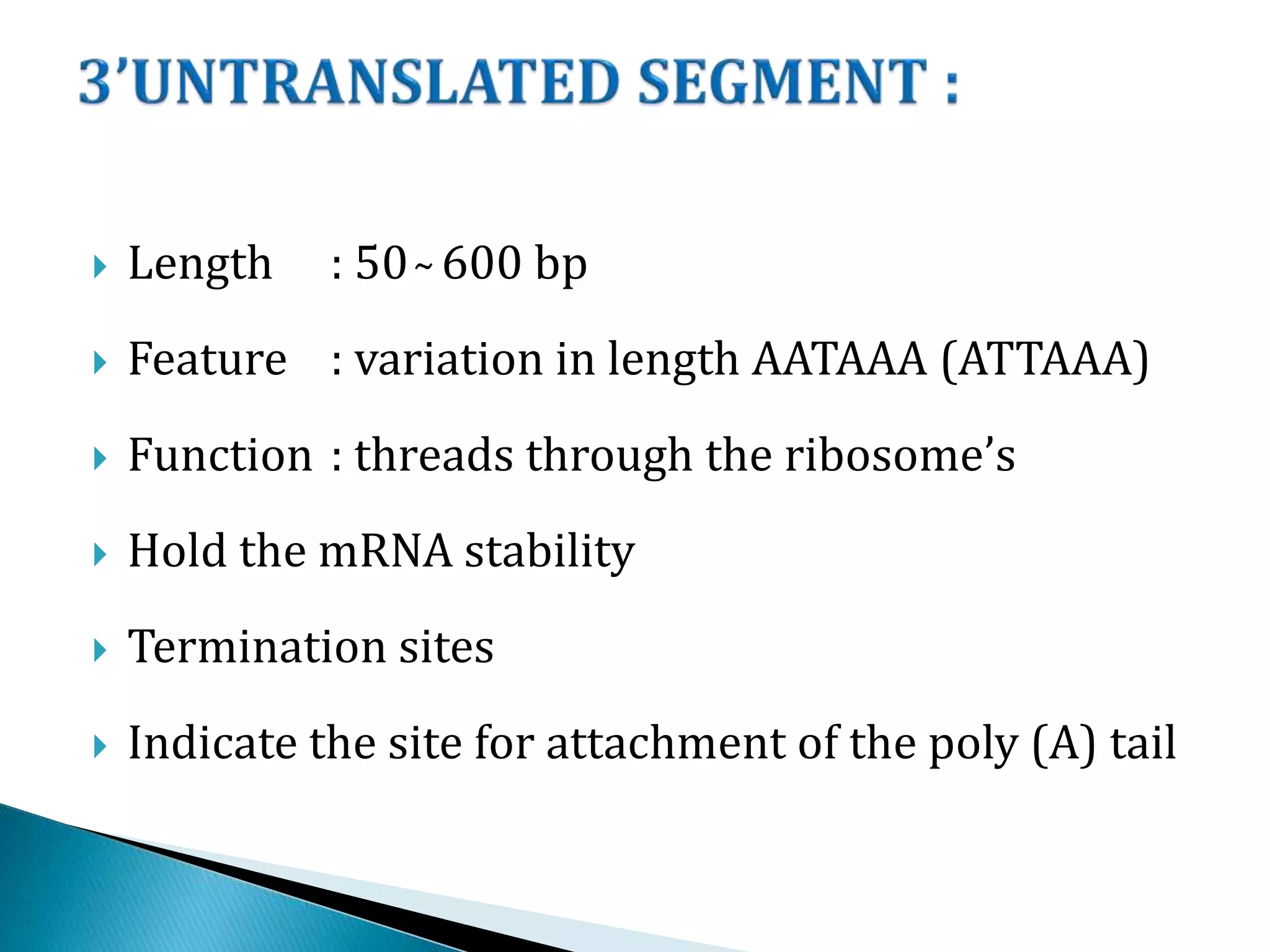 Fine structure of gene | PPTX
