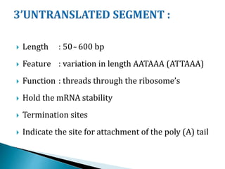 Fine structure of gene | PPTX