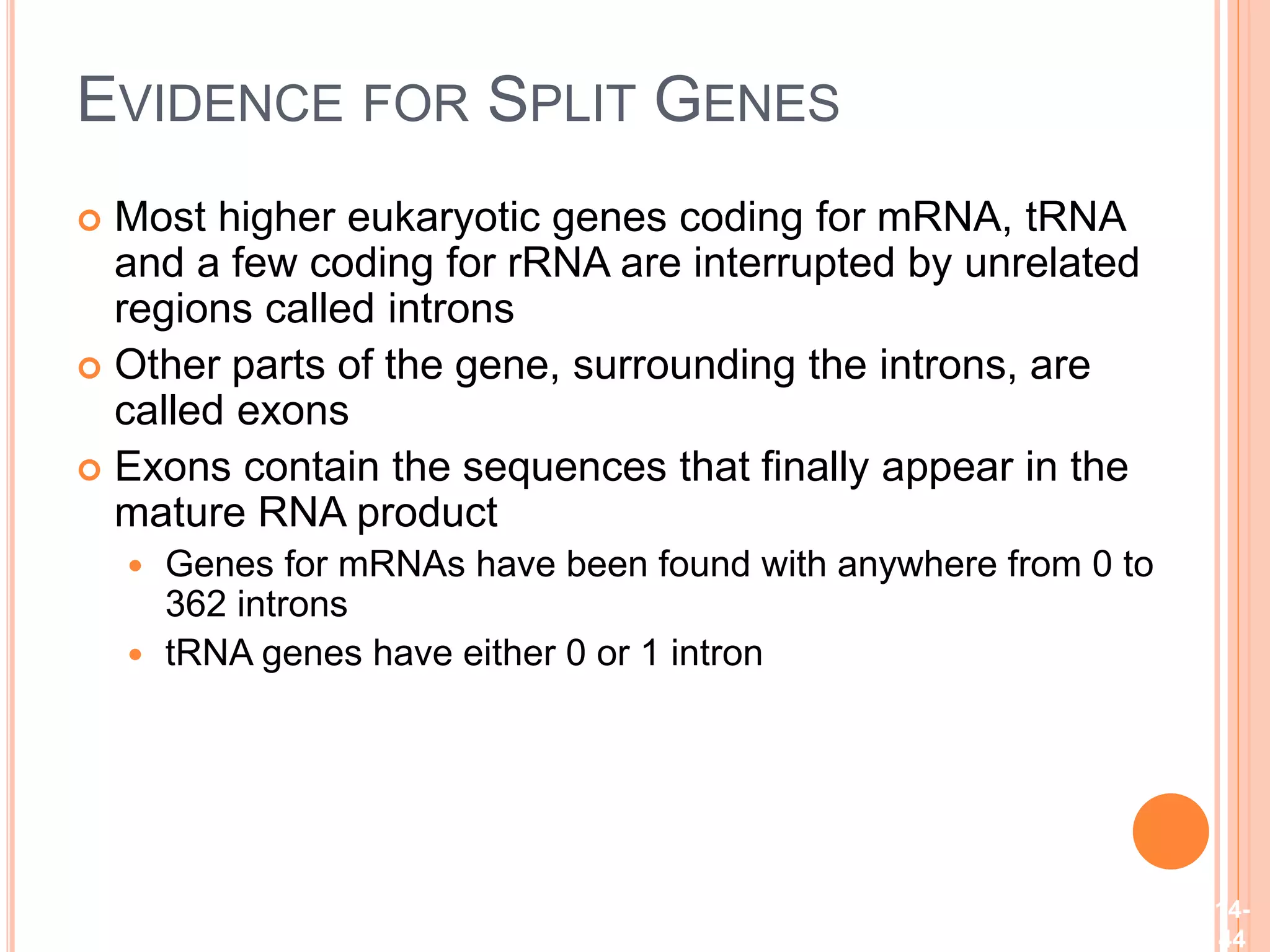 Fine structureof gene,allelic complementation,and split gene | PPTX