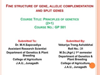 Fine structureof gene,allelic complementation,and split gene | PPTX