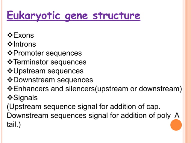 Fine structureof gene,allelic complementation,and split gene | PPTX