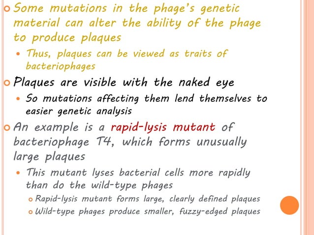 Fine structureof gene,allelic complementation,and split gene | PPTX