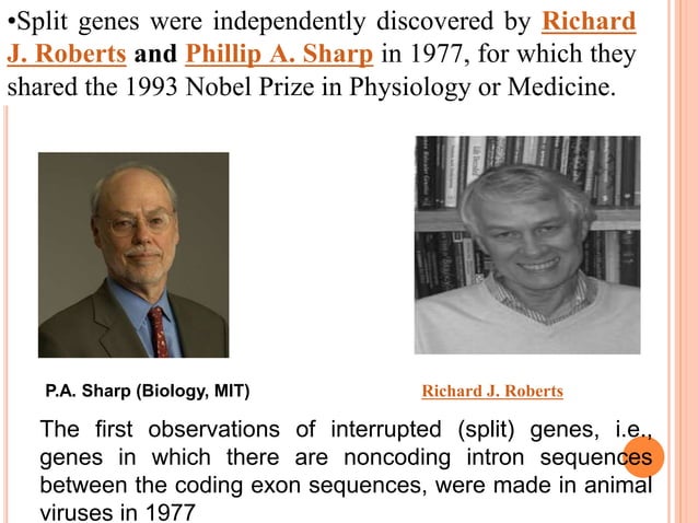 Fine structureof gene,allelic complementation,and split gene | PPTX
