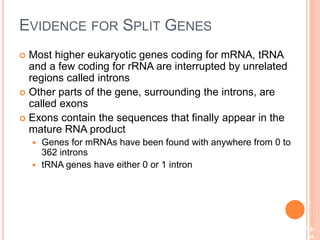 Fine structureof gene,allelic complementation,and split gene | PPTX
