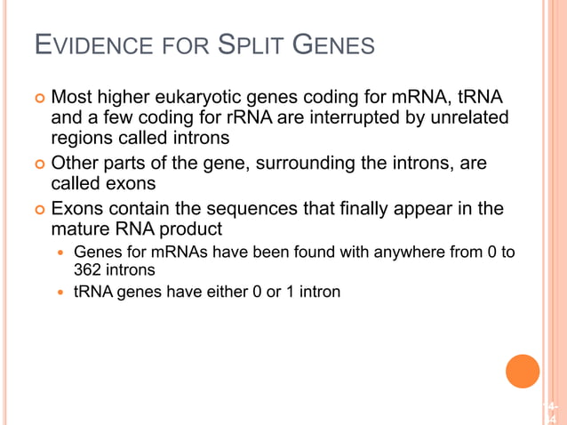 Fine structureof gene,allelic complementation,and split gene | PPTX