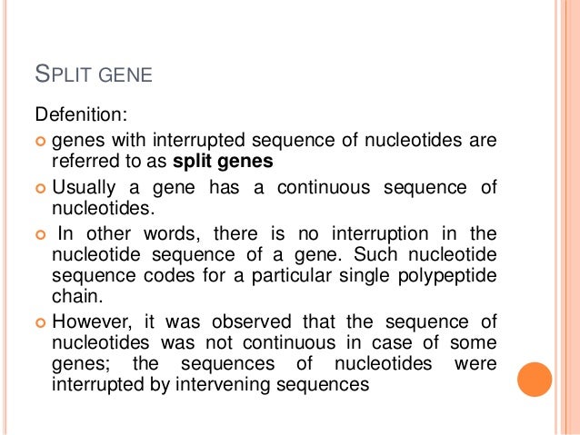 Fine structureof gene,allelic complementation,and split gene