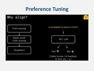 AI/ML Infra Meetup | Preference Tuning and Fine Tuning LLMs | PDF