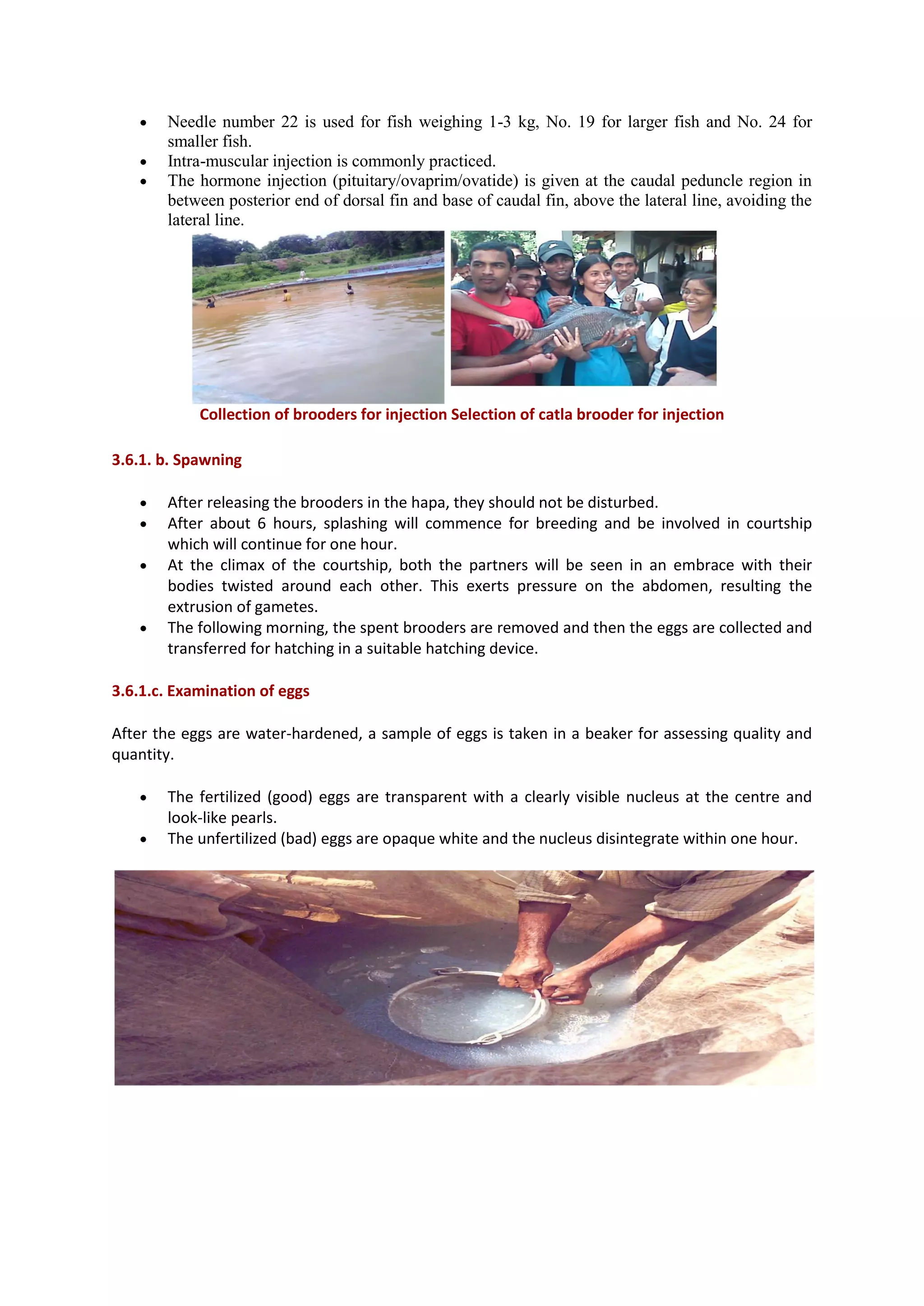 Finfish breeding and hatchery management pdf | PDF