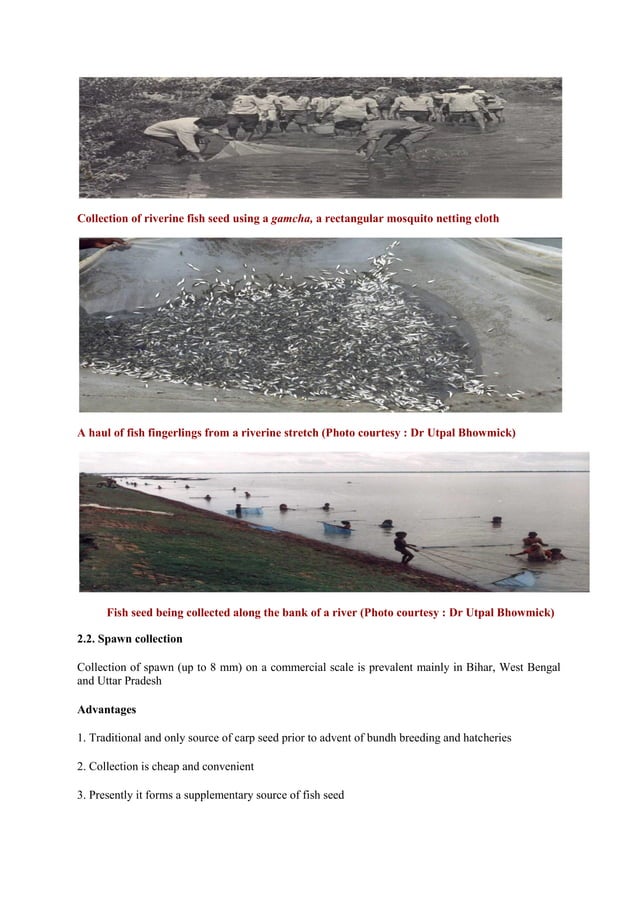 Finfish breeding and hatchery management pdf | PDF | Zoos & Aquariums ...