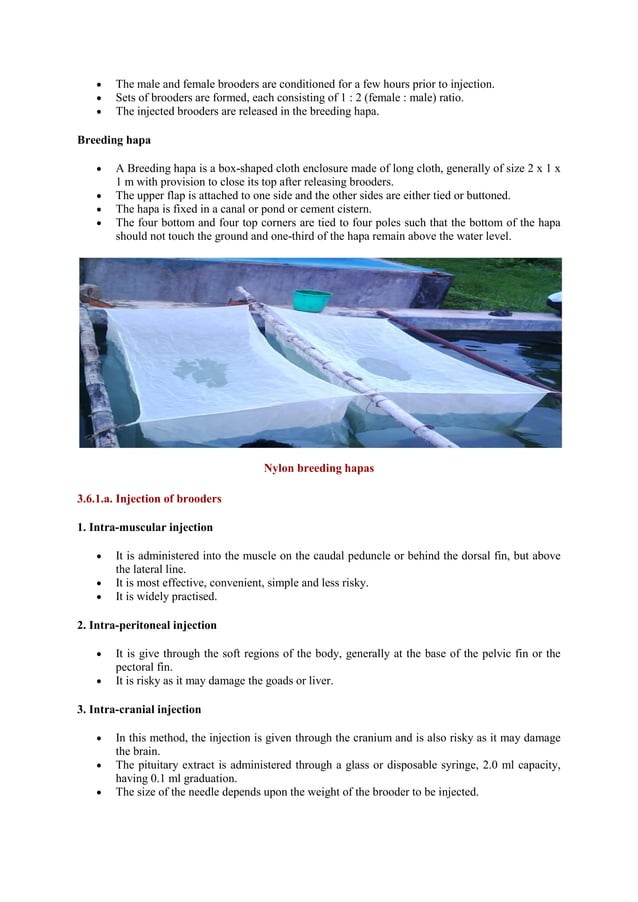 Finfish breeding and hatchery management pdf | PDF | Zoos & Aquariums ...