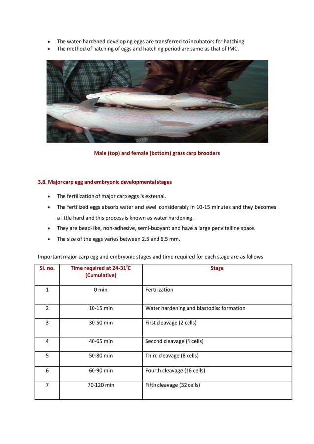 Finfish breeding and hatchery management pdf | PDF | Zoos & Aquariums ...