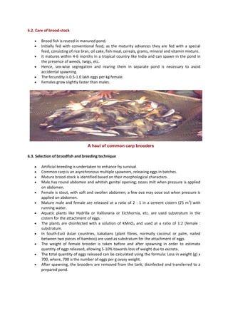 Finfish breeding and hatchery management pdf | PDF