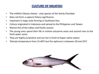 Fin fish culture systems.ppt commercial important | PPT