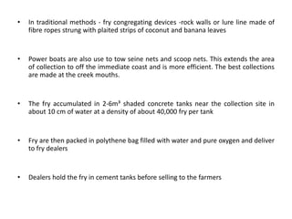 Fin fish culture systems.ppt commercial important | PPT