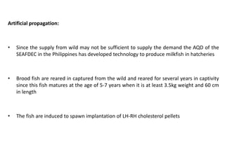 Fin fish culture systems.ppt commercial important | PPT