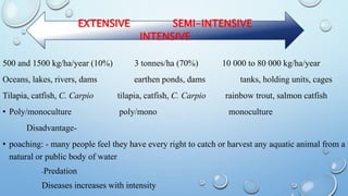 Finfish culture systems and practices | PPTX
