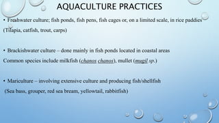 Finfish culture systems and practices | PPTX