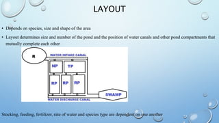Finfish culture systems and practices | PPTX