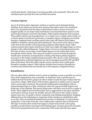 Finger Injuries in Sport Climbing | PDF