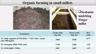 FINGER MILLET CULTIVATION PACKAGE IN PURULIA.pptx