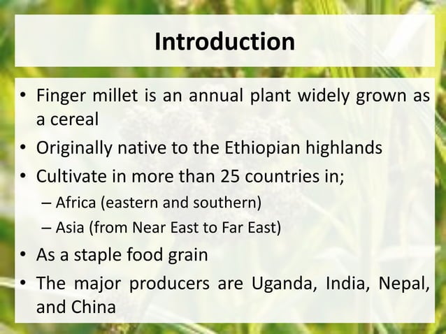 Finger Millet | PPTX | Agriculture | Industries