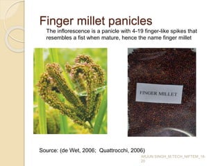 Finger millet status paper-1 | PPTX