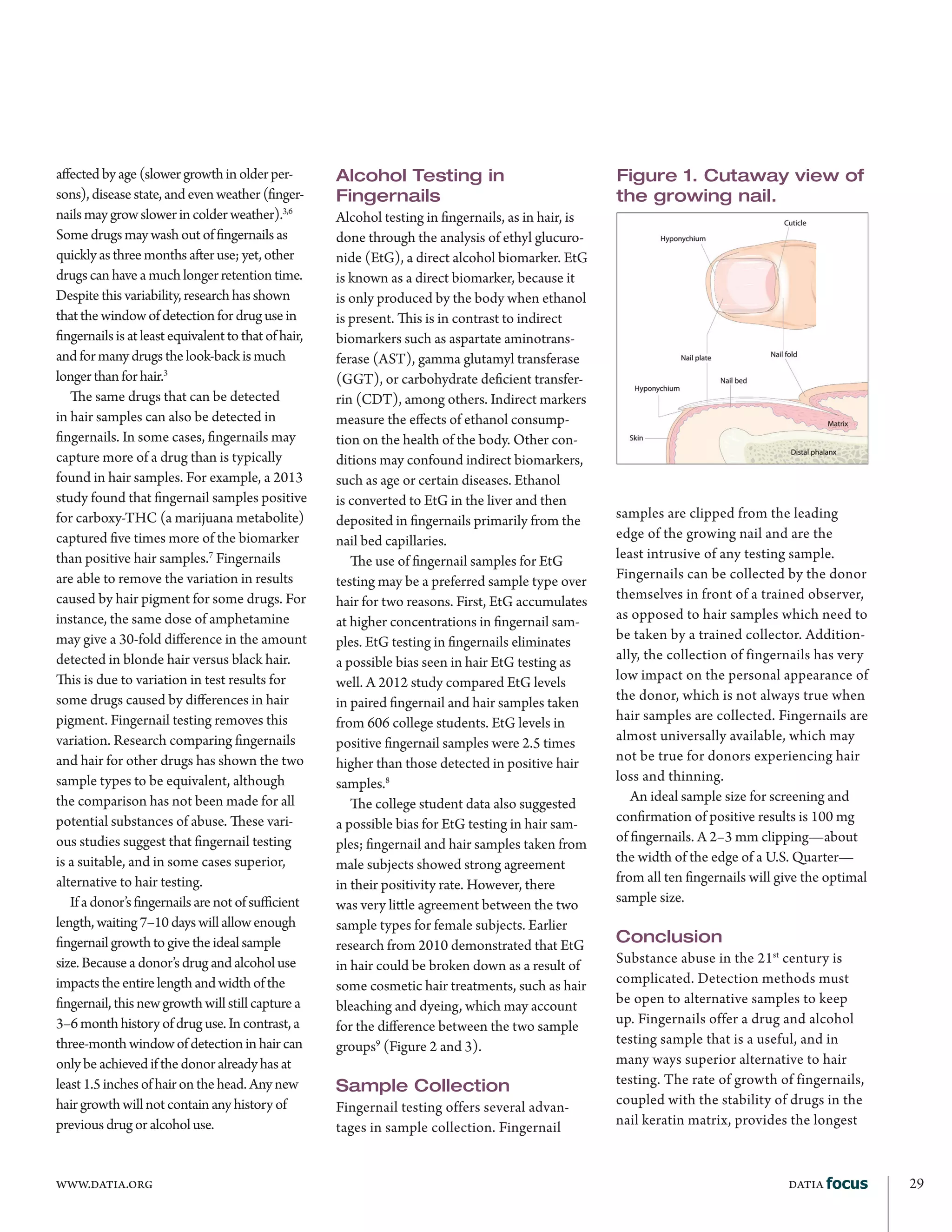 Nailing Drug and Alcohol Testing | PDF