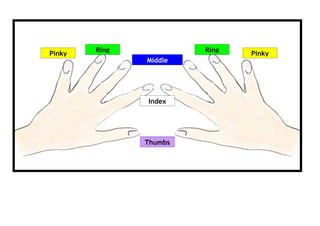 Hand Finger Names Identification Guide | PPT