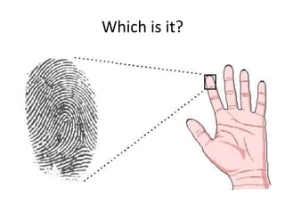 CSI'/ Forensics Fingerprint Identification | PPTX