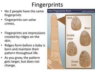 CSI'/ Forensics Fingerprint Identification | PPTX