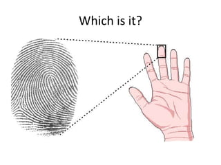 CSI'/ Forensics Fingerprint Identification | PPTX