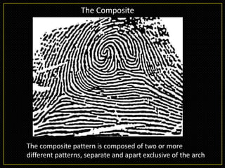 Composite Fingerprints