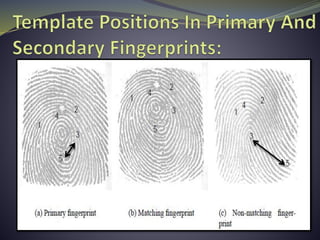 Correlation based Fingerprint Recognition | PPT