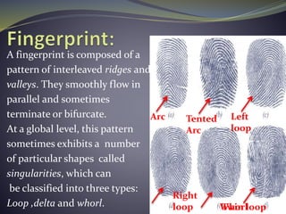 Correlation based Fingerprint Recognition | PPTX