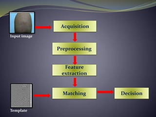 Correlation based Fingerprint Recognition | PPTX