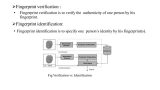 Fingerprint recognition presentation | PPTX