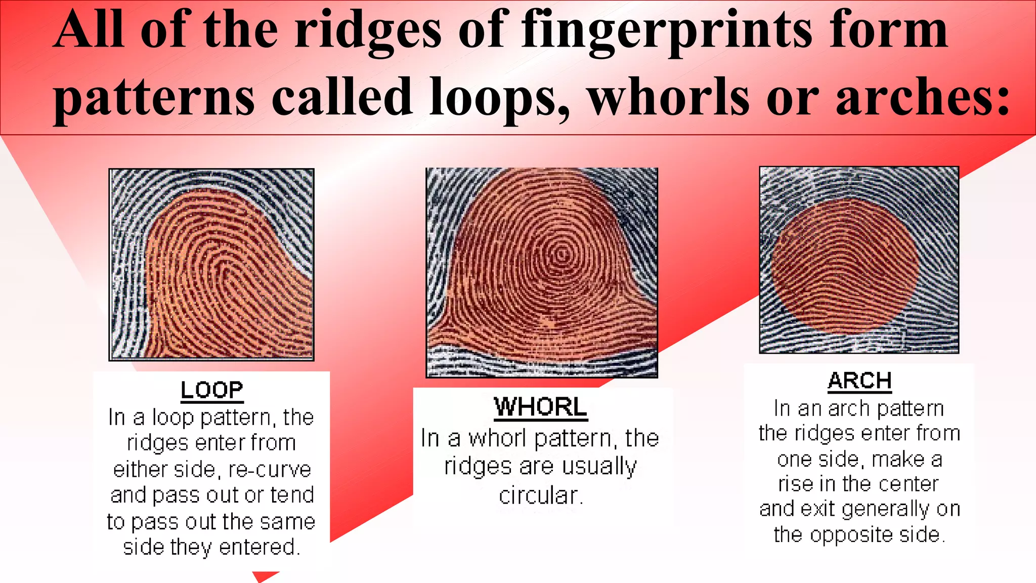 Fingerprint | PPT