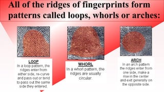 Fingerprint | PPT